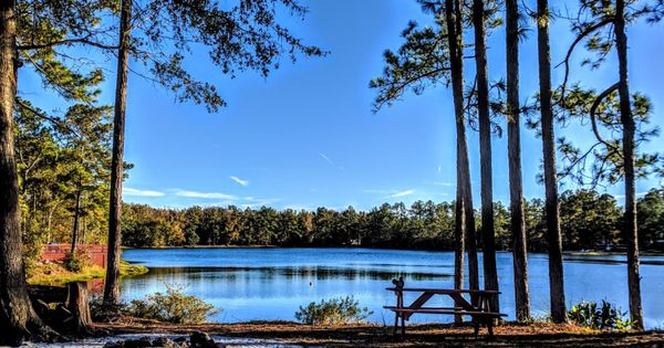 MCINTOSH LAKE CAMPGROUND & RV PARK - Updated December 2025 - 17 Photos ...