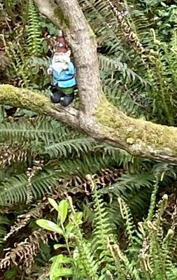 VALLEY OF THE GNOMES - Updated April 2025 - 23 Photos - 3904 E Pine St ...