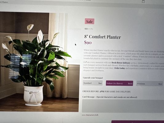 RUTH’S ROSES - Updated January 2026 - 115 Photos & 274 Reviews ...