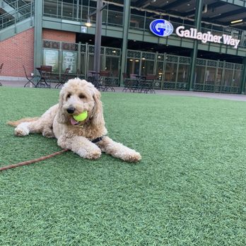 GALLAGHER WAY CHICAGO - Updated July 2025 - 213 Photos & 27 Reviews ...