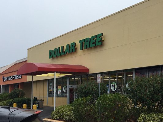 DOLLAR TREE STORES - Updated October 2025 - 9225 N 56th St, Tampa ...