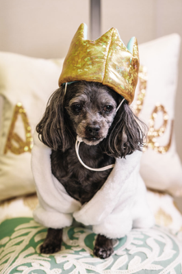 RUFF HOUSING CARY - Updated December 2025 - 10 Photos & 17 Reviews ...