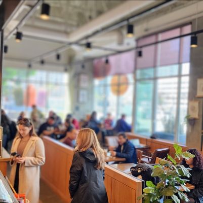 MIO + TUO - Updated August 2024 - 123 Photos & 90 Reviews - 1229 Ninth ...