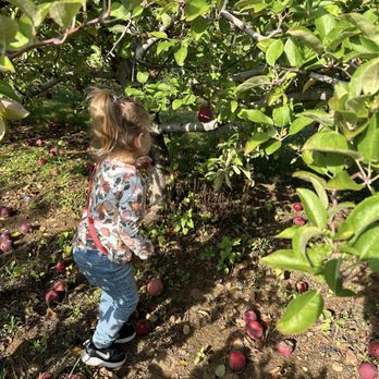 BATTLEVIEW ORCHARDS - Updated May 2026 - 651 Photos & 295 Reviews - 91 ...