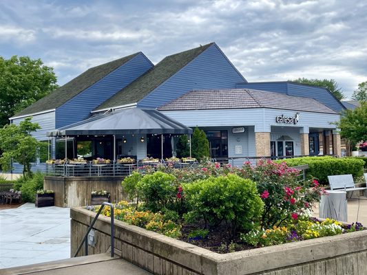 CAFESANO - Updated December 2025 - 302 Photos & 537 Reviews - 11130 M S ...