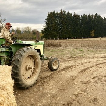 DAVIS FAMILY FARM - Updated December 2025 - 35 Photos & 15 Reviews ...