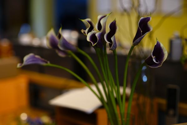 Your Enchanted Florist - Updated May 2026 - 42 Photos & 20 Reviews ...