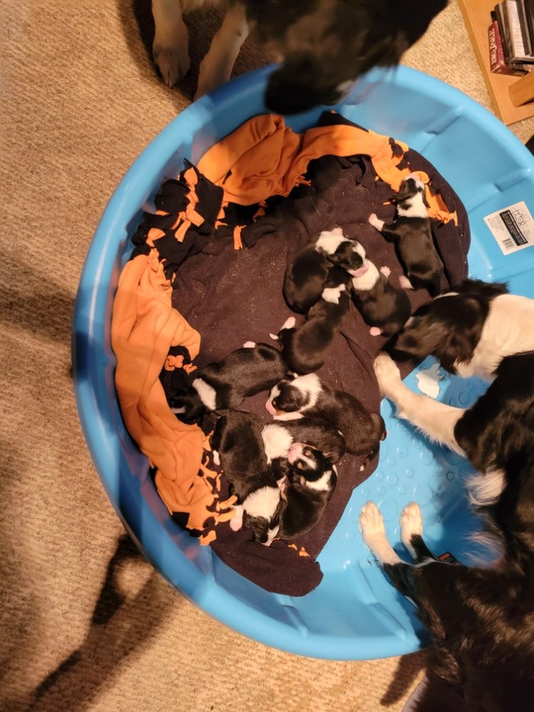 JS CONKLIN FARMS - Updated March 2024 - 19293 Marcellus Hwy, Marcellus ...