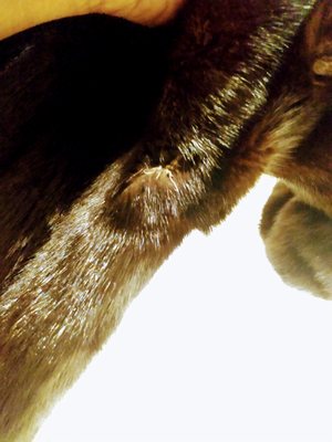 RITZ THRIFT SHOP - RITZ FURS - Updated January 2026 - 26 Photos & 19 ...