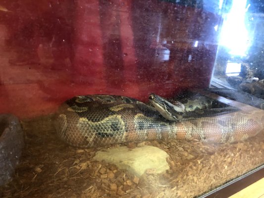 ANIMAL JUNGLE PET SHOP - Updated July 2024 - 13 Photos - 5007 Fishcreek ...