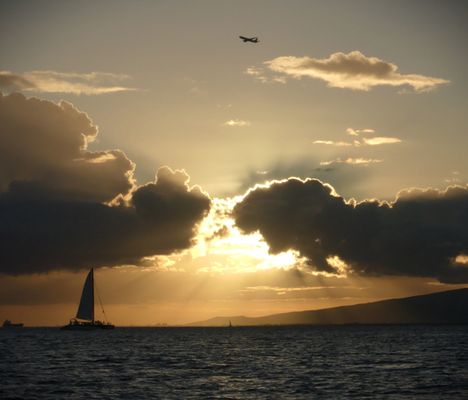 HAWAII ASH SCATTERINGS - 84 Photos & 56 Reviews - 1125 Ala Moana Blvd ...