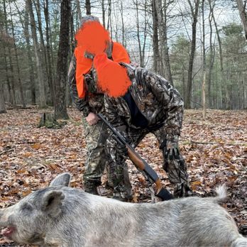 TIOGA BOAR HUNTING - Updated January 2026 - 38 Photos - 1552 Mann Hill ...