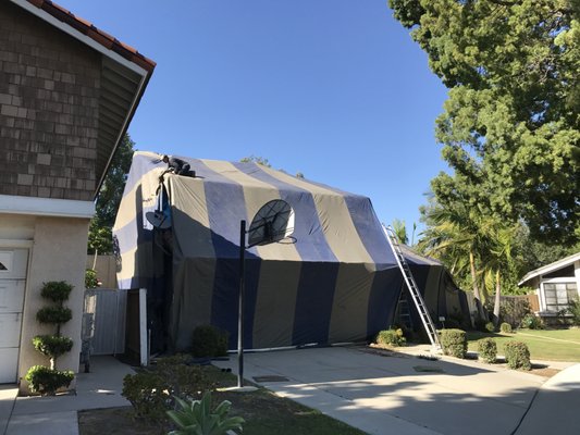 PREMIUM TERMITE & PEST CONTROL - Updated June 2026 - 51 Photos & 778 ...