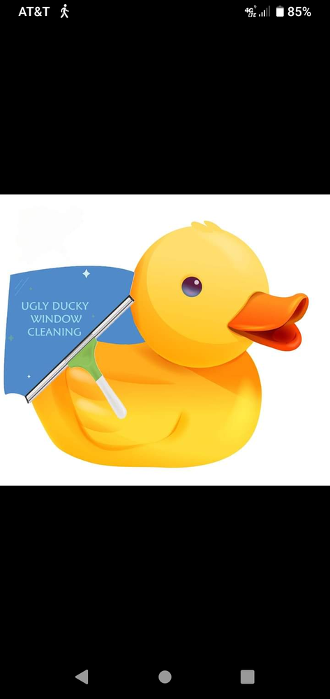 UGLY DUCKY WINDOW CLEANING - Request a Quote - 126 Snee Dr, Clairton ...