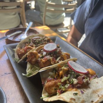 ZAZIL COCINA MEXICANA - Updated July 2024 - 1330 Photos & 1045 Reviews ...