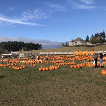 ROLOFF FARMS - Updated October 2025 - 317 Photos & 132 Reviews - 23985 ...