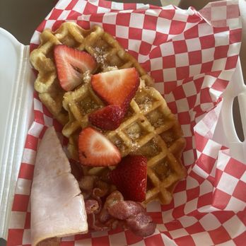 LIFEGUARDS OF THE REEF - Updated January 2025 - 92 Photos & 93 Reviews ...