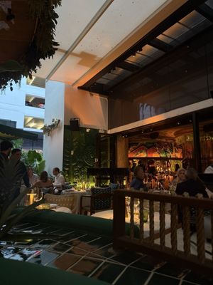 AMAZÓNICO MIAMI - Updated October 2025 - 42 Photos & 20 Reviews - 800 ...