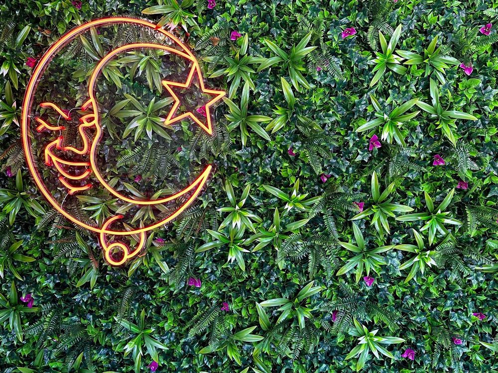 MODERNE PRIMITIVES - Updated December 2025 - 907 New Boston Rd ...