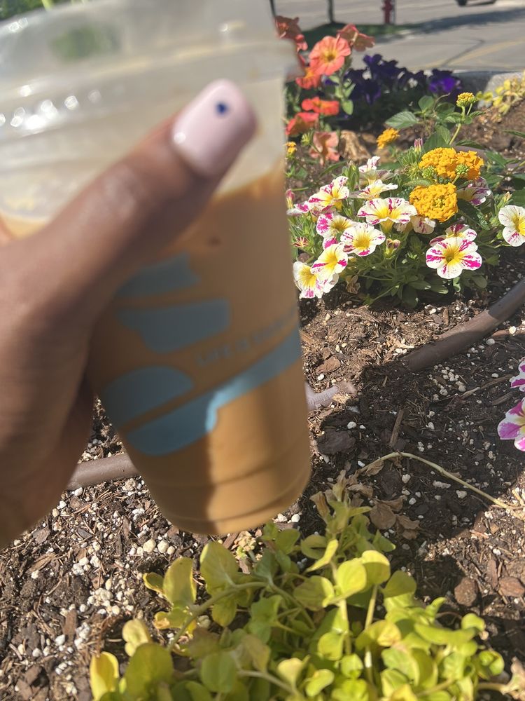 CARIBOU COFFEE - Updated October 2025 - 21 Photos & 38 Reviews - 3044 ...