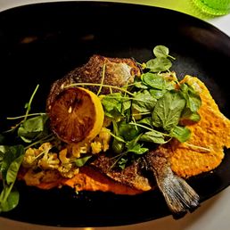 DSRT CLUB - Updated July 2025 - 284 Photos & 204 Reviews - 78075 Main ...