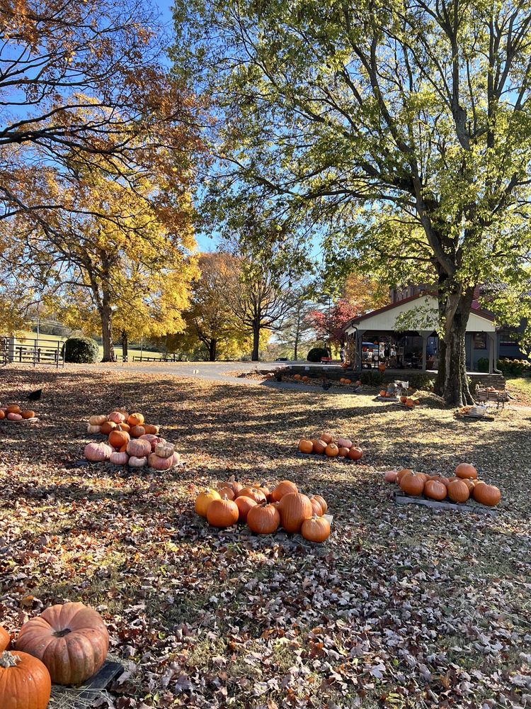 HIDDEN BEE ANIMAL RESCUE - 753 Carters Creek Pike, Columbia, Tennessee ...
