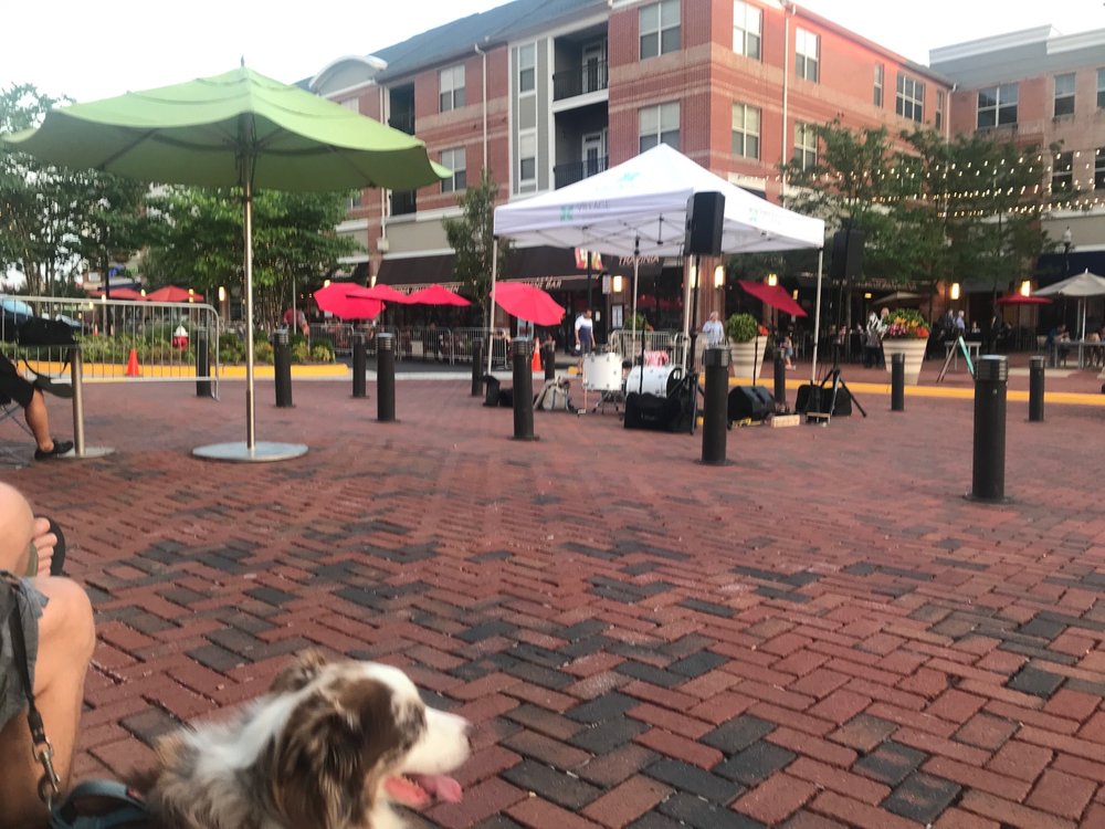 VILLAGE AT LEESBURG - Updated July 2024 - 44 Photos & 19 Reviews - 1602 ...