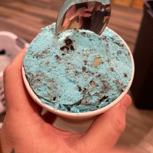 FLAPDOODLES HOMEMADE ICE CREAM - Updated February 2026 - 130 Photos ...