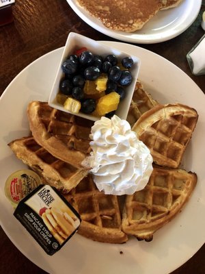 THE LAKE HOUND - Updated July 2024 - 17 Reviews - 135 Ontario Street ...