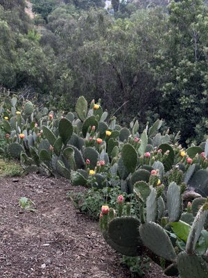 MURPHY RANCH PARK - Updated December 2025 - 224 Photos & 61 Reviews ...