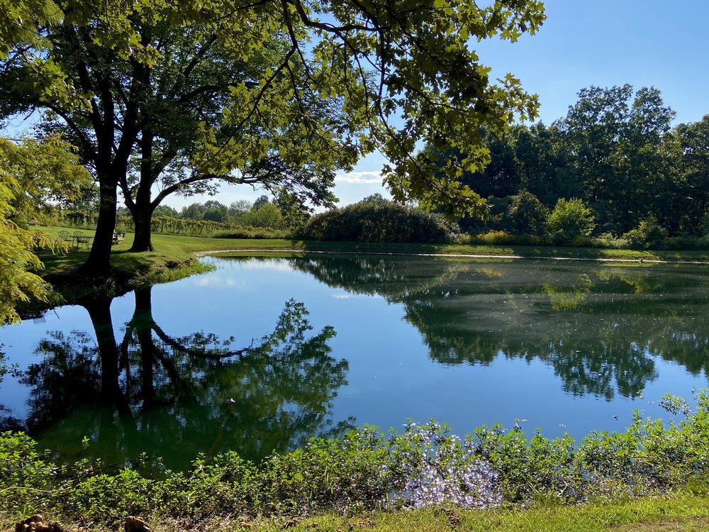 FEATHER HILLS VINEYARD AND WINERY - Updated July 2024 - 35 Photos & 36 ...