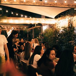 FIG TREE VENICE - Updated January 2025 - 1111 Photos & 682 Reviews ...