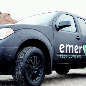 BULWARK EXTERMINATING - Updated July 2025 - 48 Photos & 50 Reviews - 56 ...