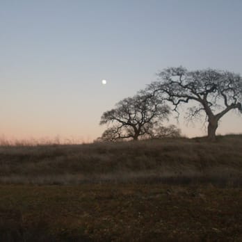 LIME RIDGE OPEN SPACE - Updated December 2025 - 239 Photos & 33 Reviews ...