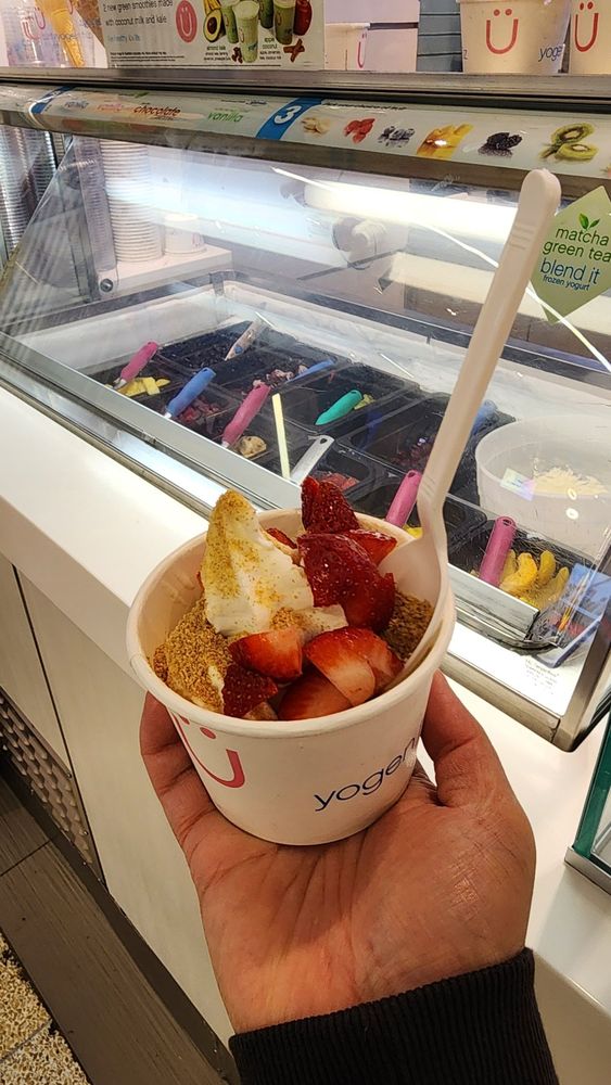 YOGEN FRUZ - Updated December 2025 - 12 Reviews - 8882 170 St NW ...