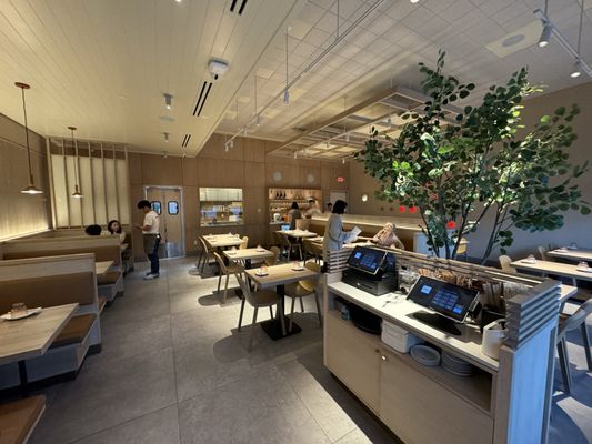 DOMOTO KATSU AND ROLL - Updated December 2024 - 78 Photos & 19 Reviews ...