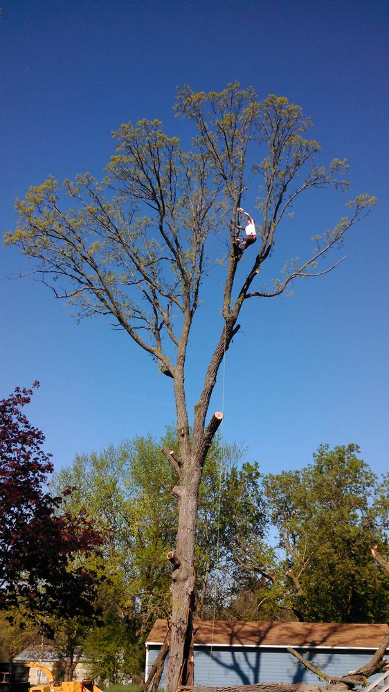 CARDINAL TREE SERVICE - Updated July 2025 - S88 W32400 Prairie Ln ...