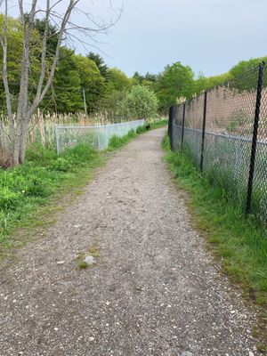 QUARRY RUN DOG PARK - 33 Photos & 19 Reviews - Hiking - 1026 Ocean Ave ...