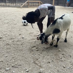 PINTO’S FARM - 405 Photos & 136 Reviews - 14890 SW 216th St, Miami, FL ...