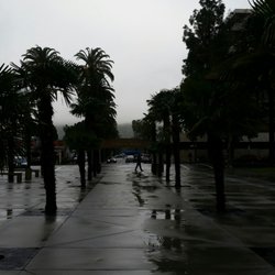 RIVERSIDE SUPERIOR COURT - 51 Photos & 21 Reviews - 4050 Main St ...