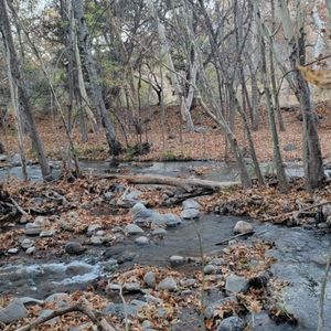 RIM SHADOWS RV PARK - Pine, Arizona - RV Parks - Phone Number - Yelp