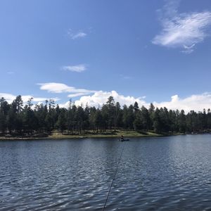 Top 10 Best Lakes in Heber-Overgaard, AZ - Last Updated May 2020 - Yelp