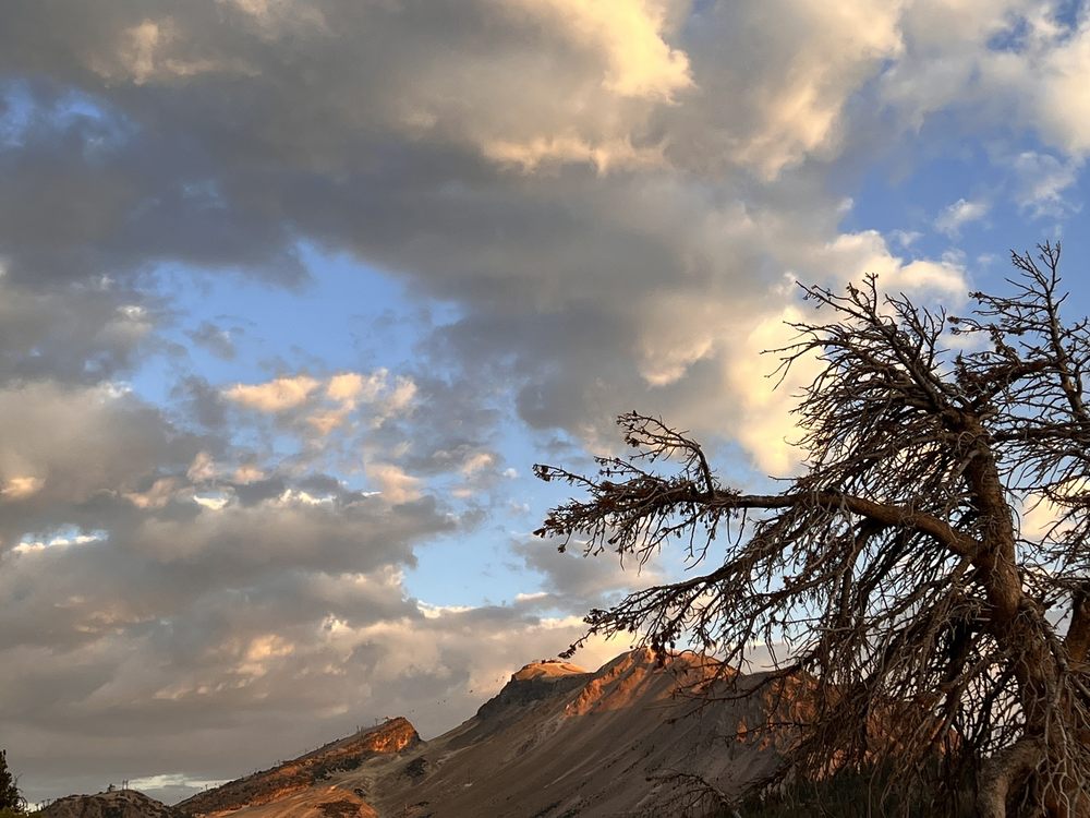 MINARET VISTA - Updated August 2025 - 117 Photos & 15 Reviews - Hwy 203 ...