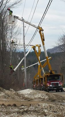 LUCAS TREE EXPERTS - Updated October 2025 - 25 Photos & 10 Reviews ...