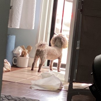 MANOA VALLEY DISTRICT DOG PARK - Updated December 2025 - 19 Photos & 21 ...