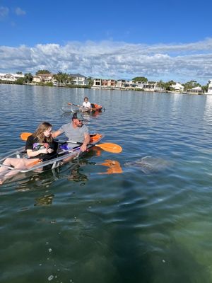 SEAVIEW KAYAK TOUR - Updated June 2024 - 45 Photos - Sarasota, Florida ...