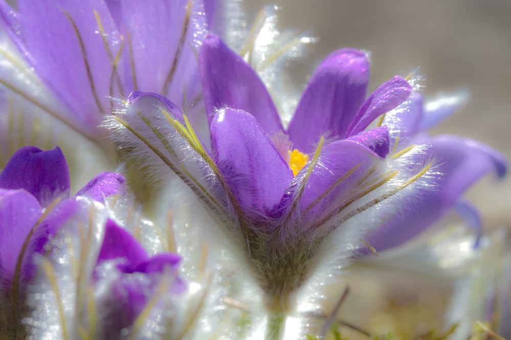 LECHRAIN VERLAG - Updated March 2025 - Pfarrgasse 2, Finning, Bayern ...