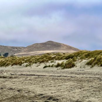 DILLON BEACH - Updated November 2024 - 554 Photos & 208 Reviews - 1 ...