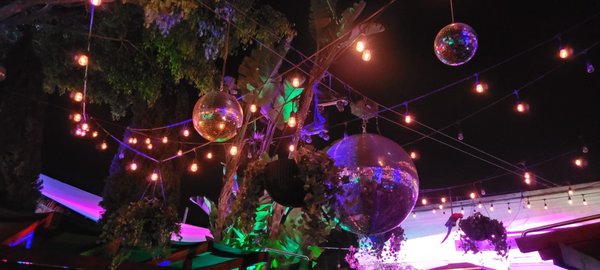 EOS LOUNGE - Updated May 2024 - 94 Photos & 373 Reviews - 500 Anacapa ...