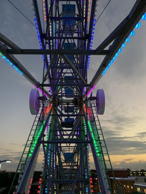 LIGHT UP UCF - Updated April 2026 - 45 Photos & 11 Reviews - 12777 ...